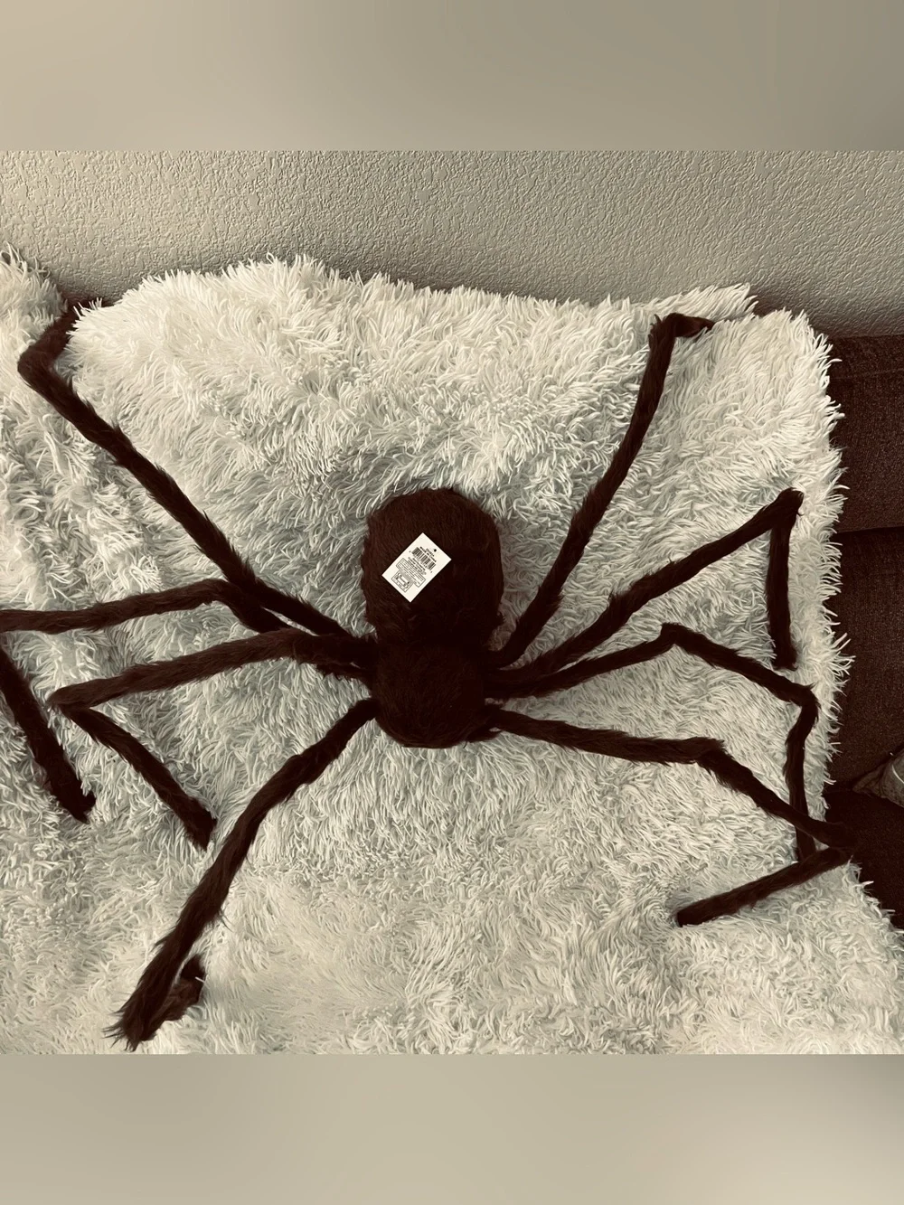 Holiday | New Large Posable Hairy Brown Spider With Red Lightup Eyes ...